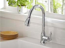 Traditional style Prince Collection kitchen faucets by Danze