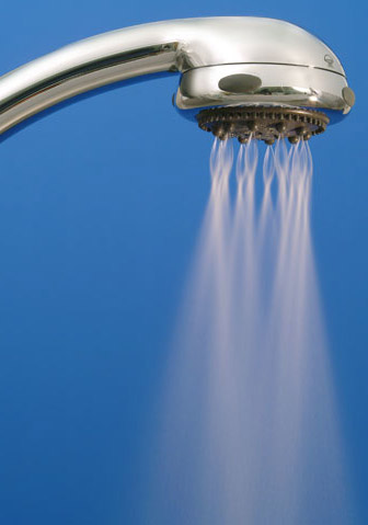 Shower Heads Galore! Find the perfect shower head for your home