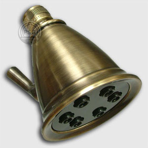 Antique brass showeheads, shower arms, and escutcheons can be