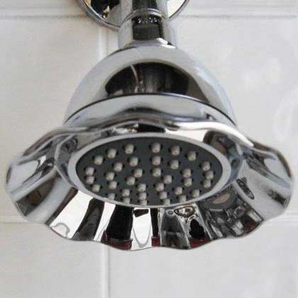 Shower Heads Galore! Find the perfect shower head for your home