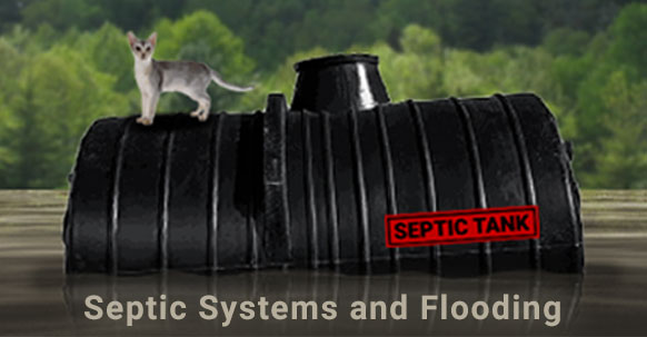 How to Manage Your Septic After a Flood