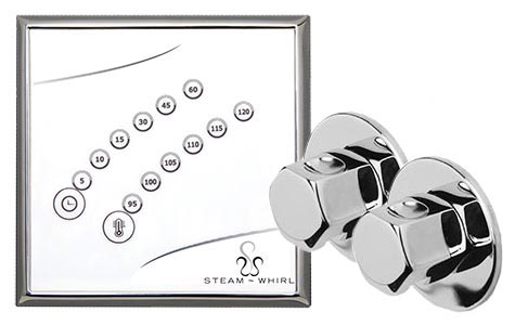 Dual Generator Residential Steam System