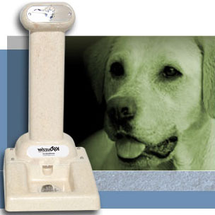 Sturdy pet drinking fountains
